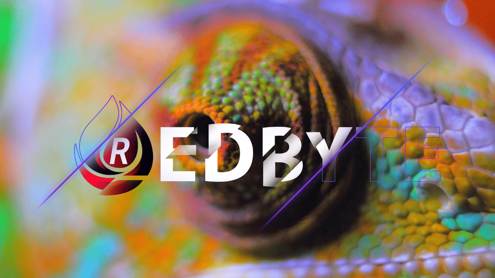 ¿Cómo funciona la monetización en redes sociales? - Redbyte